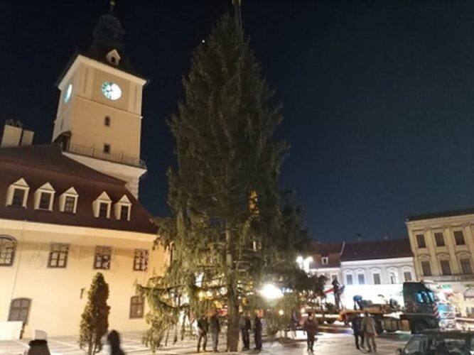 La Brașov a fost adus bradul care va fi împodobit pentru sărbători