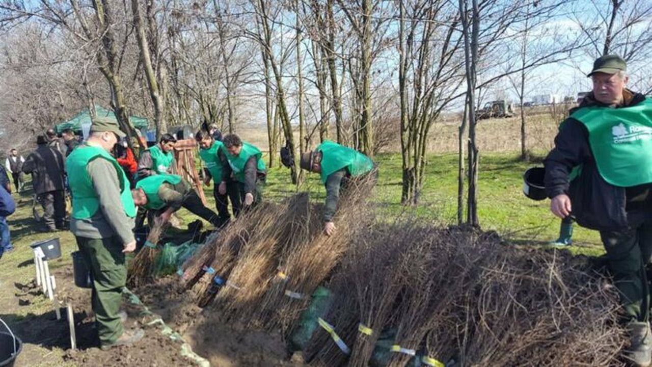 Drumurile naționale și autostrăzile din Dâmbovița și alte 10 județe ...